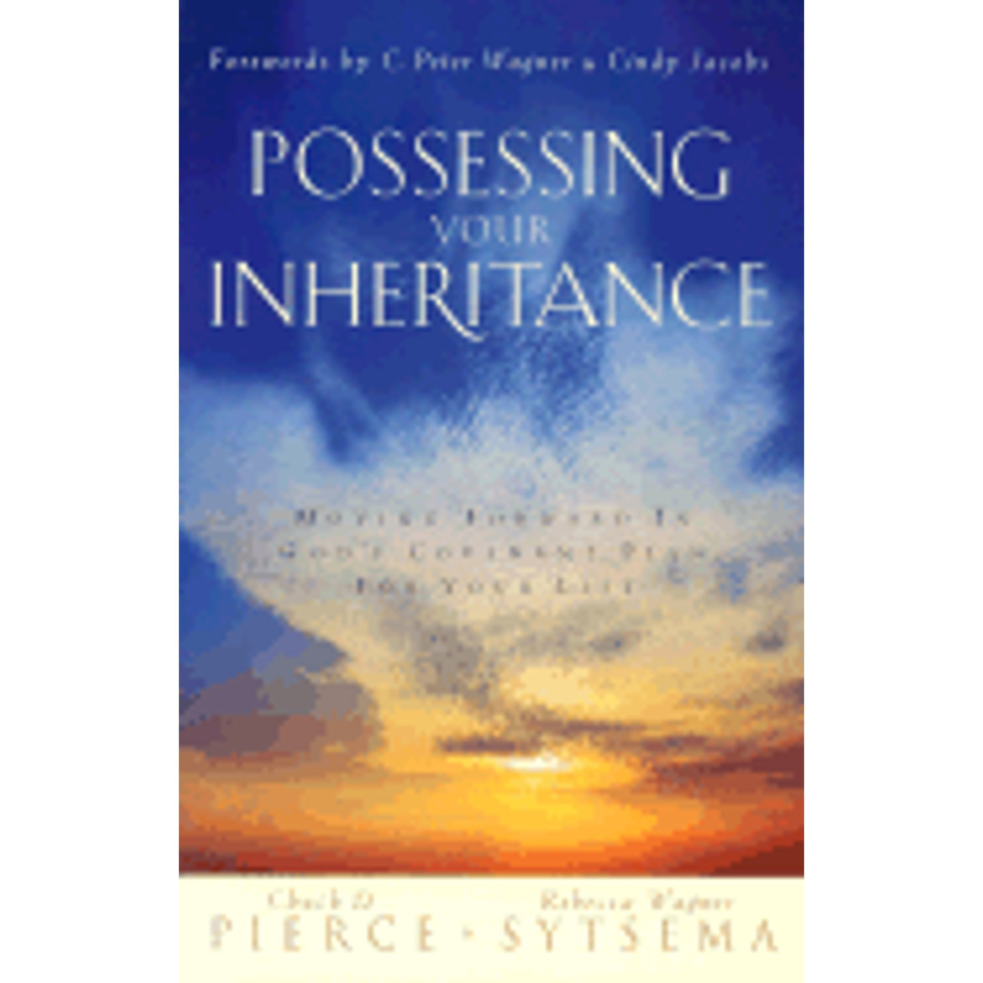 Possessing Your Inheritance: Moving Forward in God's Covenant Plan for ...