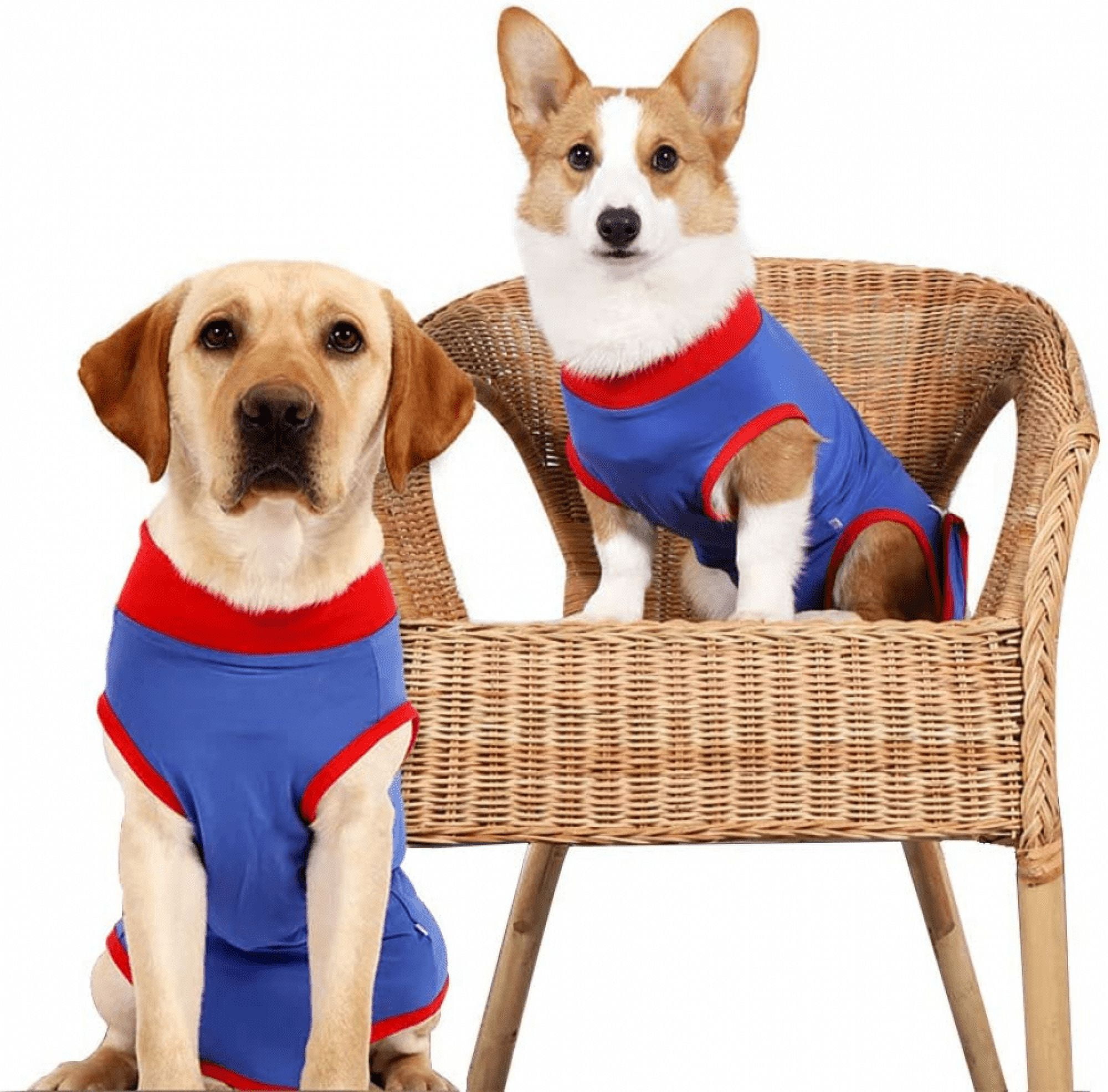 Post-operative recovery suits for dogs Dog surgical suits Post ...