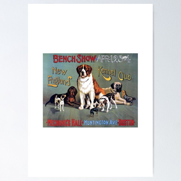 Poster 1890 New England Kennel Club Dog Show - Unframed Poster, 12x18 ...