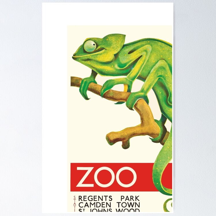 Poster 1935 Chameleon ZOO Advertising - Unframed Poster, 12x18 ...