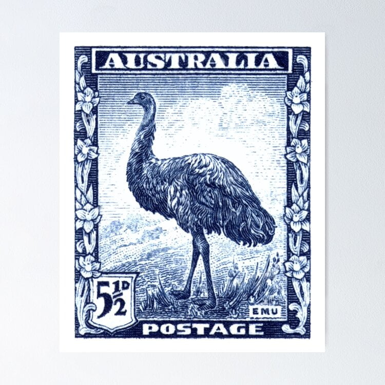 Poster 1942 Australia Emu Bird Postage Stamp - Unframed Poster, 12x18 ...