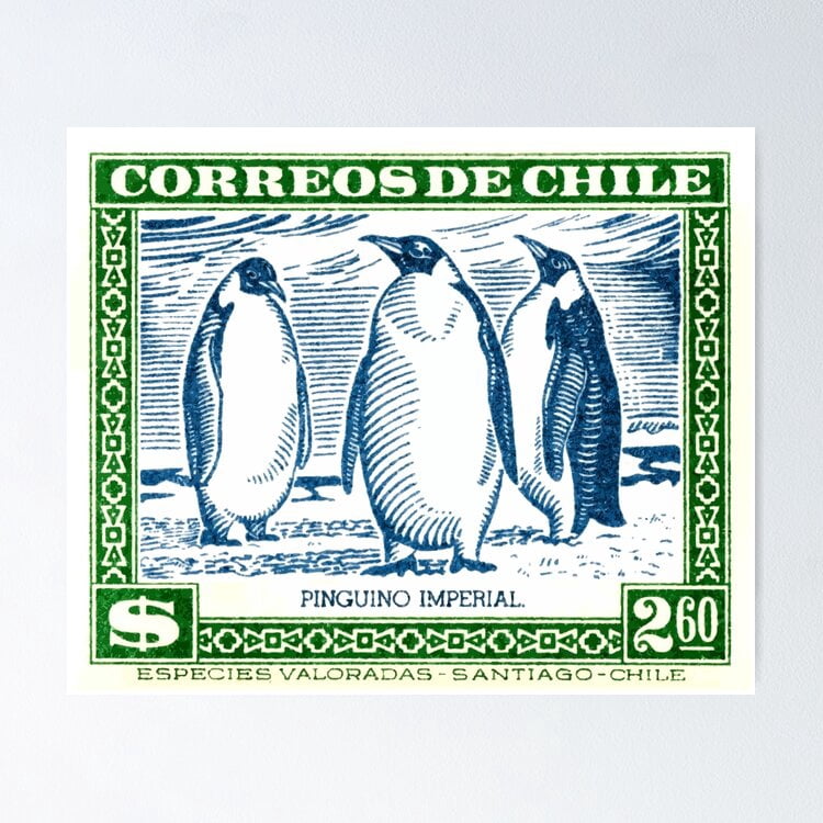 Poster 1948 Chile Emperor Penguin Postage Stamp - Unframed Poster ...