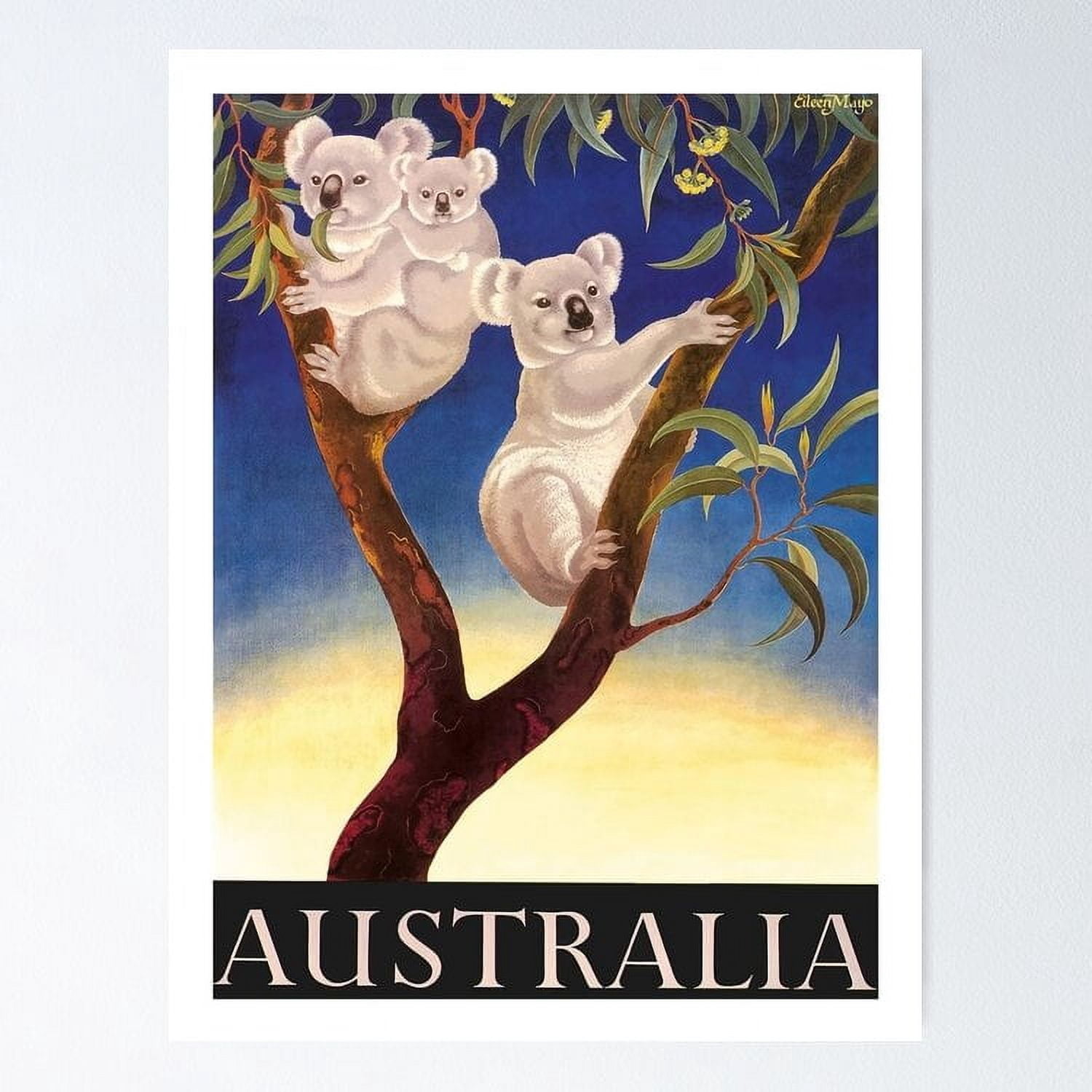 Poster 1956 Australia Koalas Travel - Unframed Poster, 24x36 - Walmart.com