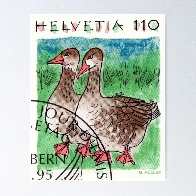 Poster 1995 Switzerland Geese Postage Stamp - Unframed Poster, 24x36 ...