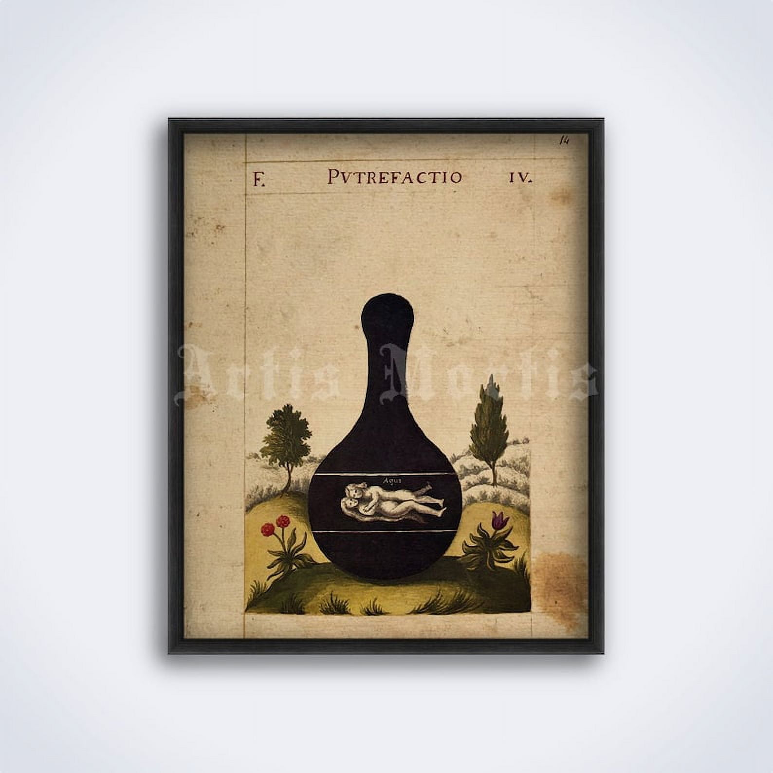 Poster Alchemy art, Dorum Dei plate IV Putrefaction, albedo nigredo ...