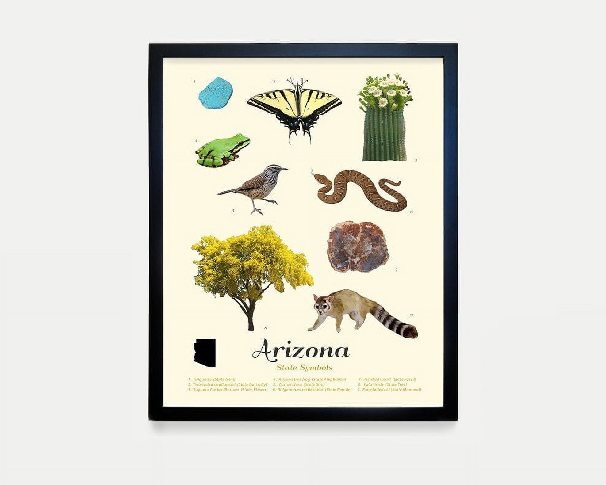 Poster Arizona State Symbols Typology - Arizona Art - Arizona Poster ...