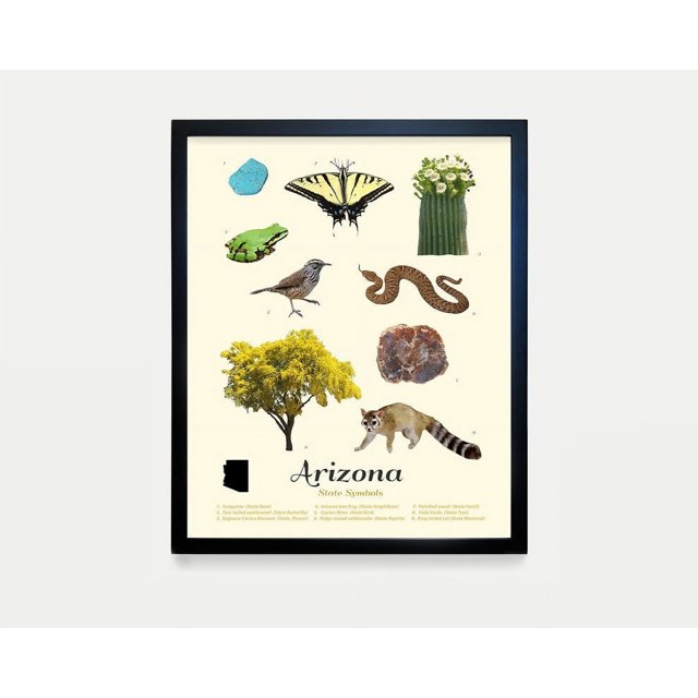 Poster Arizona State Symbols Typology - Arizona Art - Arizona Poster ...