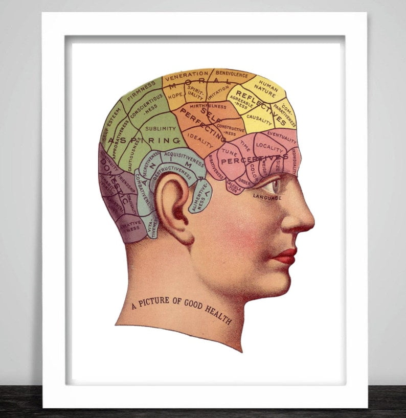 POSTER Art Print A Picture of good health head. Phrenology Chart of ...