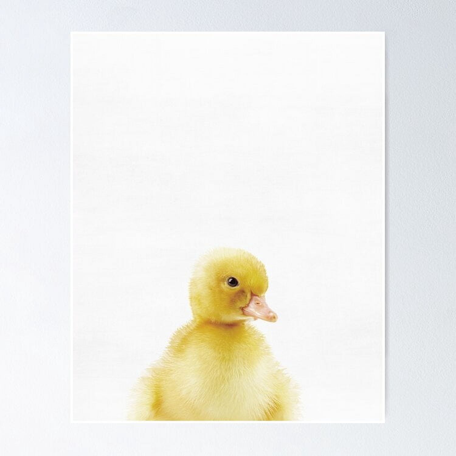 Poster Baby Duck, Nursery, Animal, Kids Room, Modern Art, Wall Decor ...