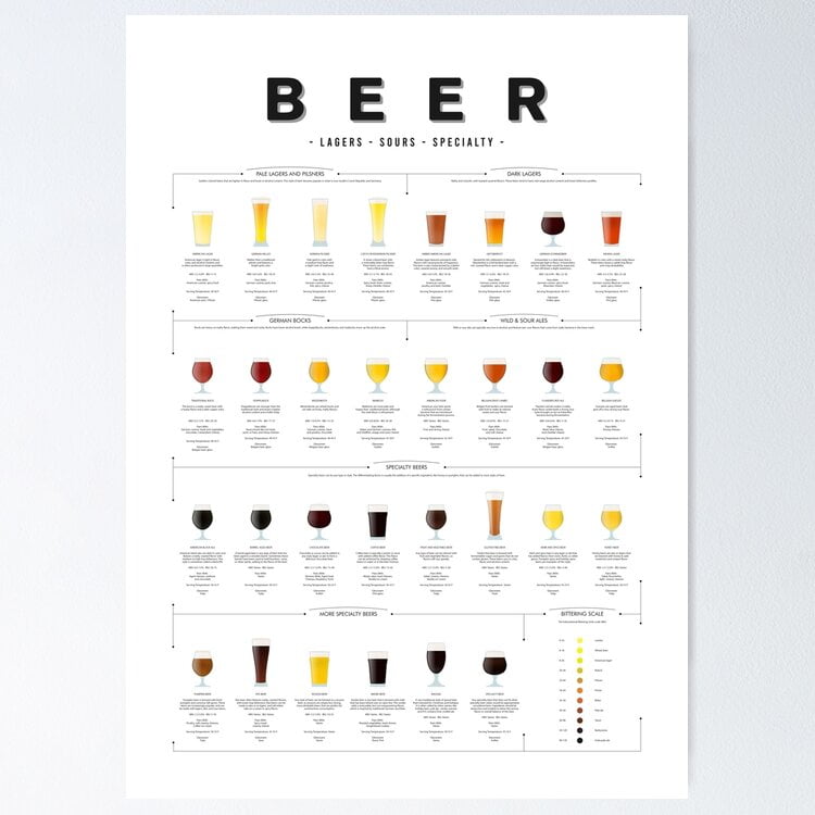Poster Beer Types Chart - Lagers Poster No Framed, 12x18 - Walmart.com