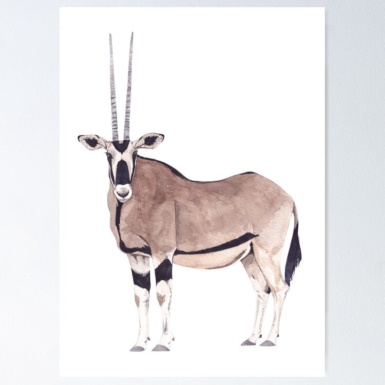 Poster Beisa Oryx - No Framed, Vintage Wall Art, Trendy Retro Print ...