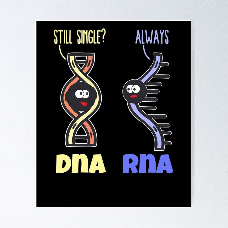 Poster Biology Science Biologist Scientist Funny Dna Rna - No Framed ...