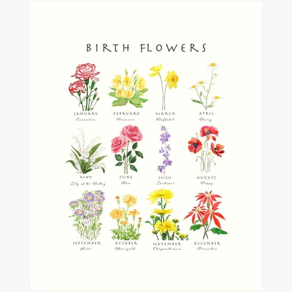 Poster Birth Month Flowers Watercolour Arts Poster Home Decor Office ...