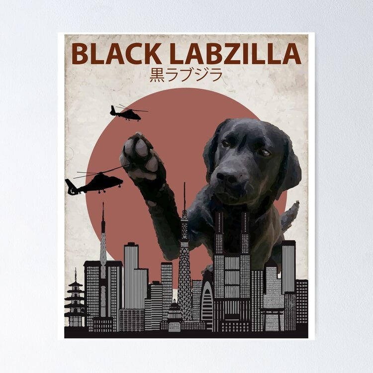 Poster Black Labzilla - Giant Labrador Retriever Lab Dog Monster - No ...