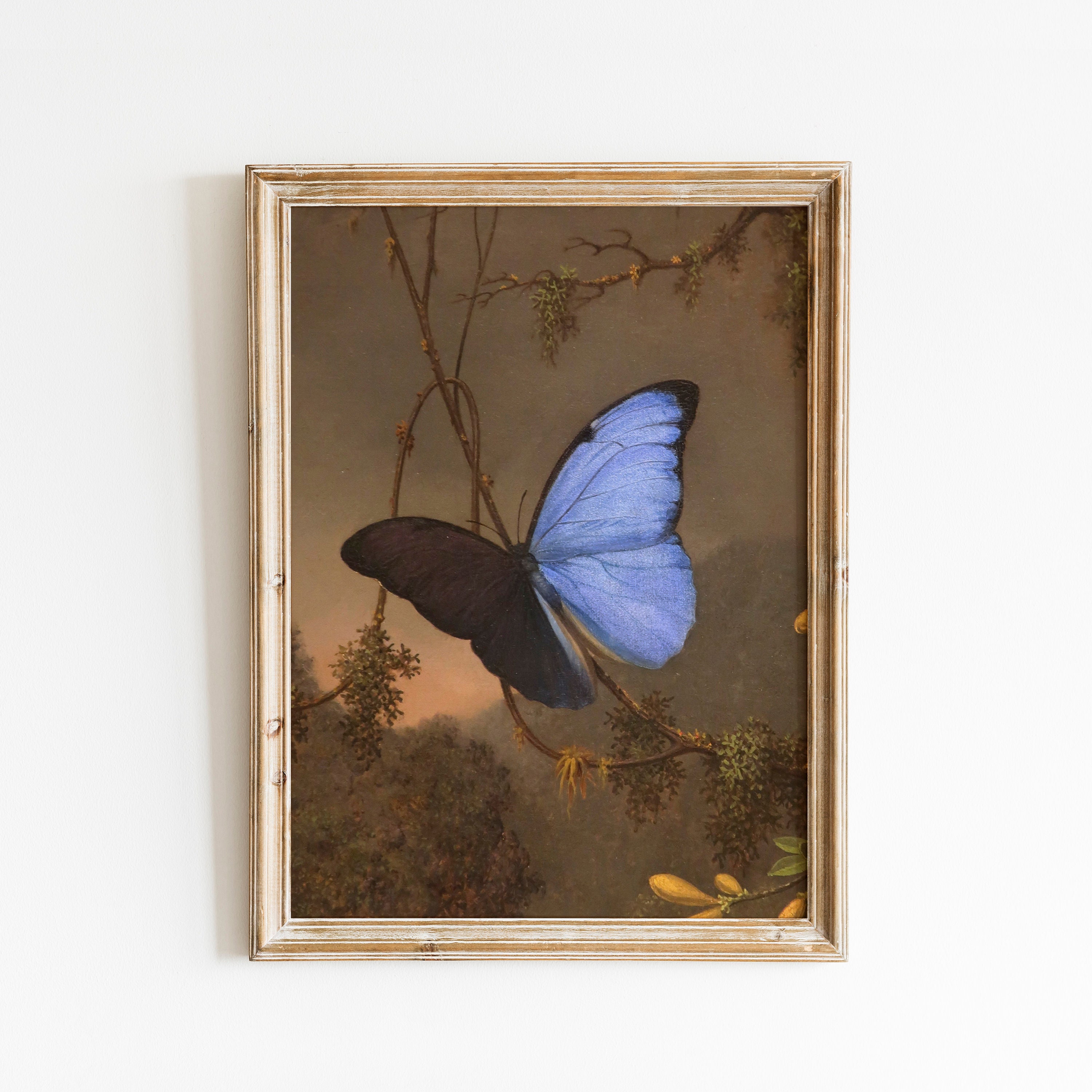 Poster Blue Morph Butterfly Print, Blue Butterfly Print, Vintage ...