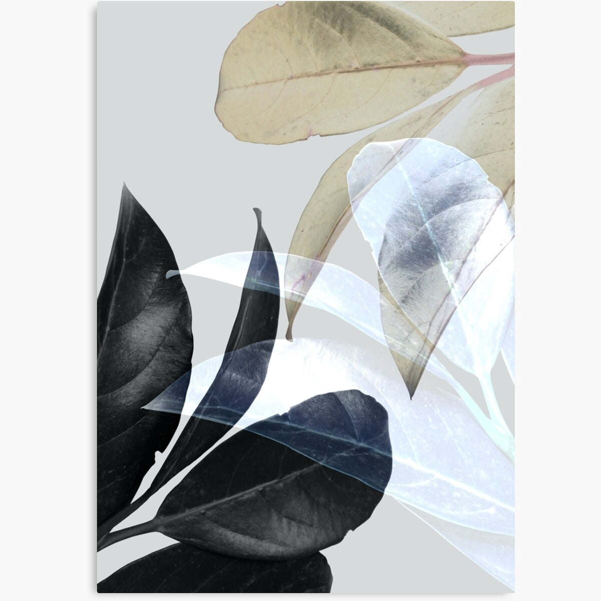 Poster Bohemian, Tropical Plant Leaves Poster No Framed, 12x18 ...