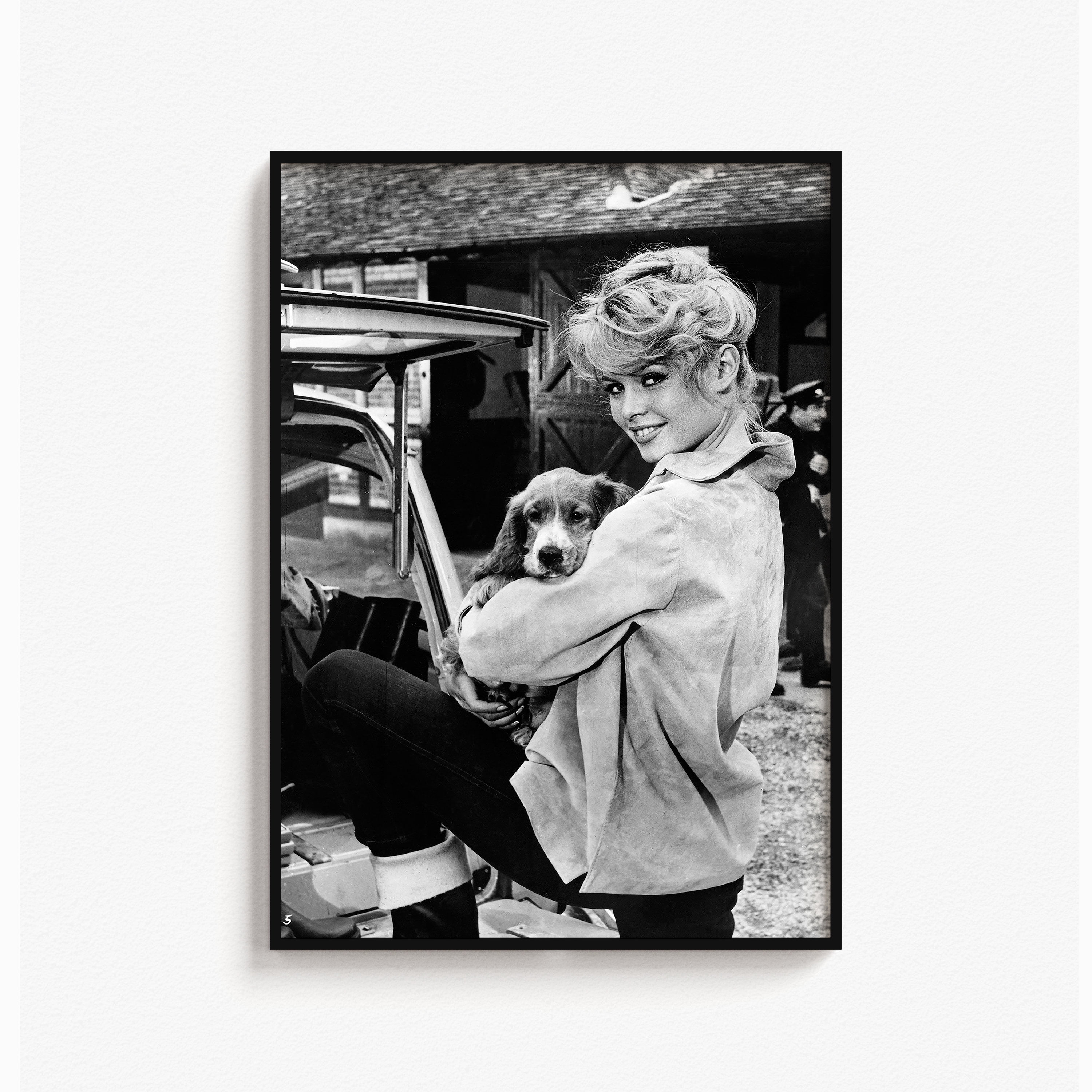 Poster Brigitte Bardot Poster , Brigitte Bardot with pet, Fashion Photo ...