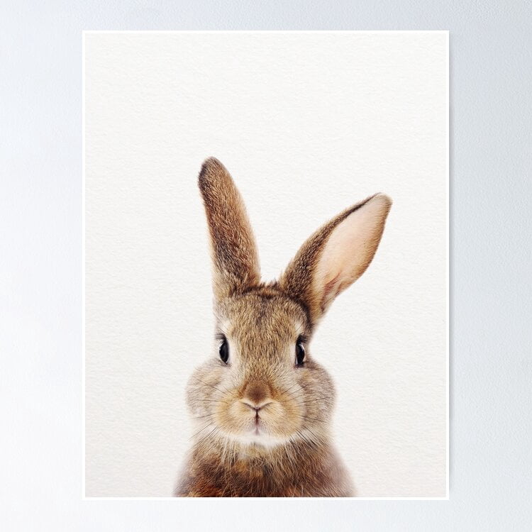 Poster Bunny Rabbit, Baby Animals Art By Synplus - No Framed, Vintage ...
