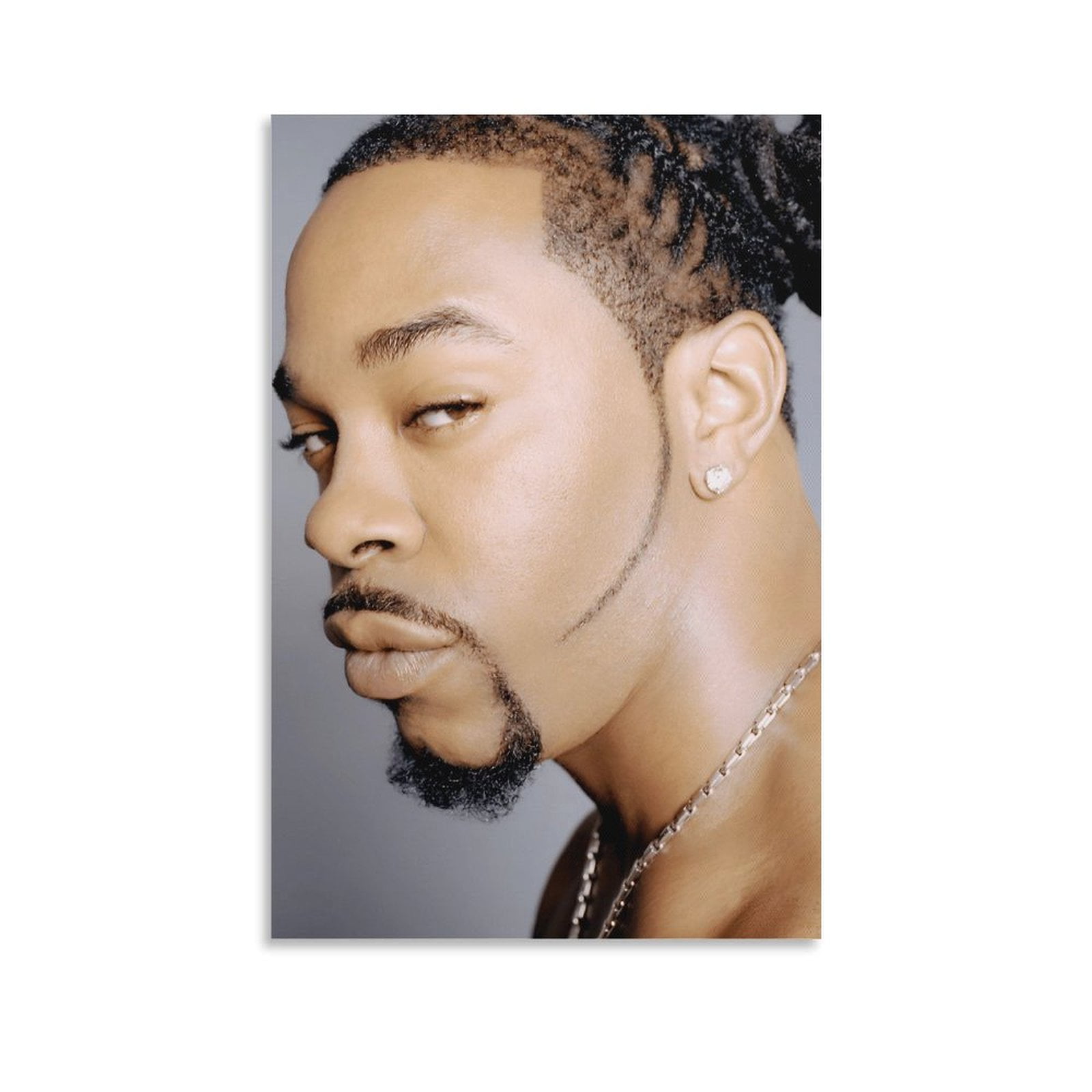Poster Busta Rhymes Art Rapper Print Photo Art Painting Canvas Poster ...