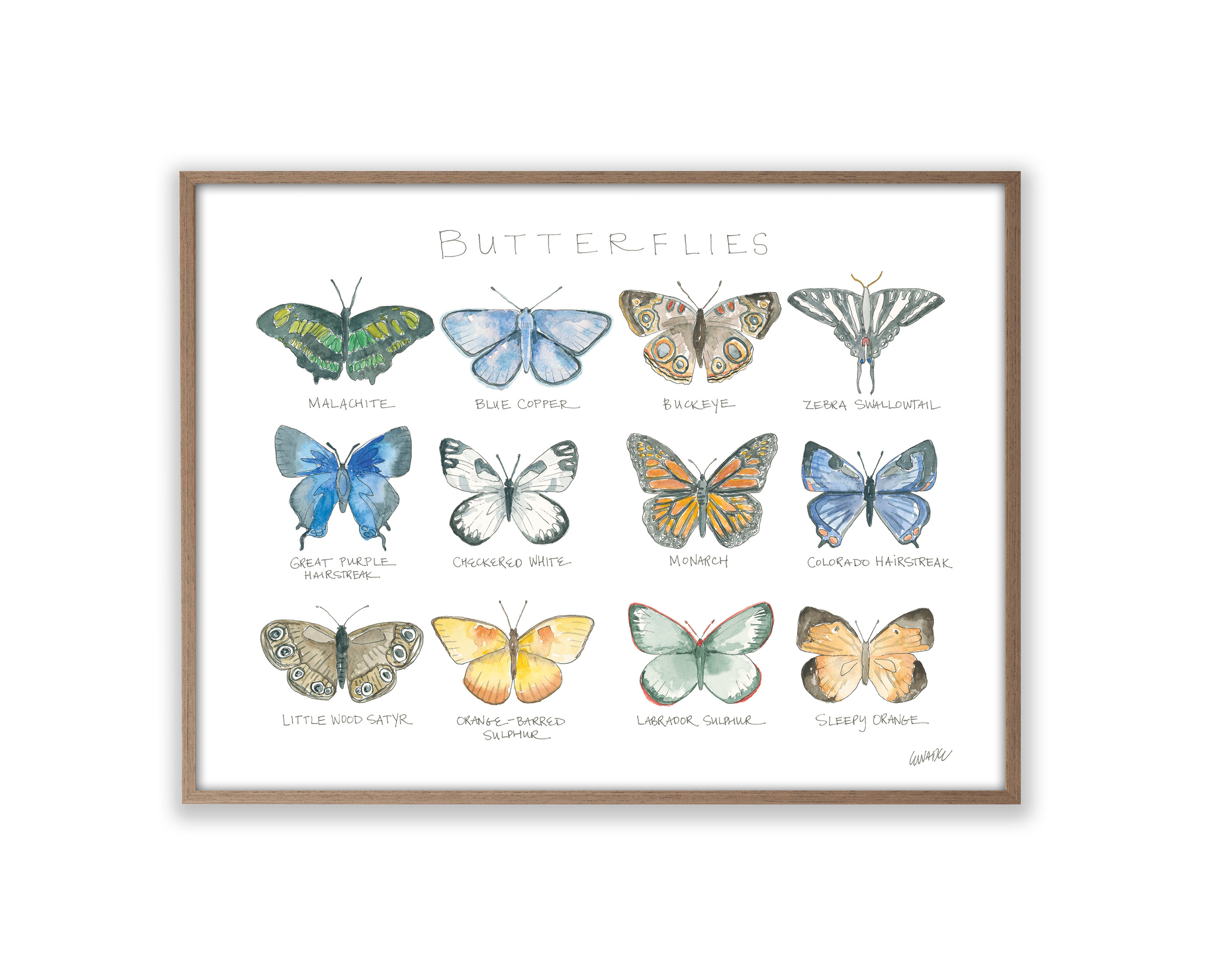 Poster Butterflies Watercolor Butterfly Art-UNFRAMED - Walmart.com