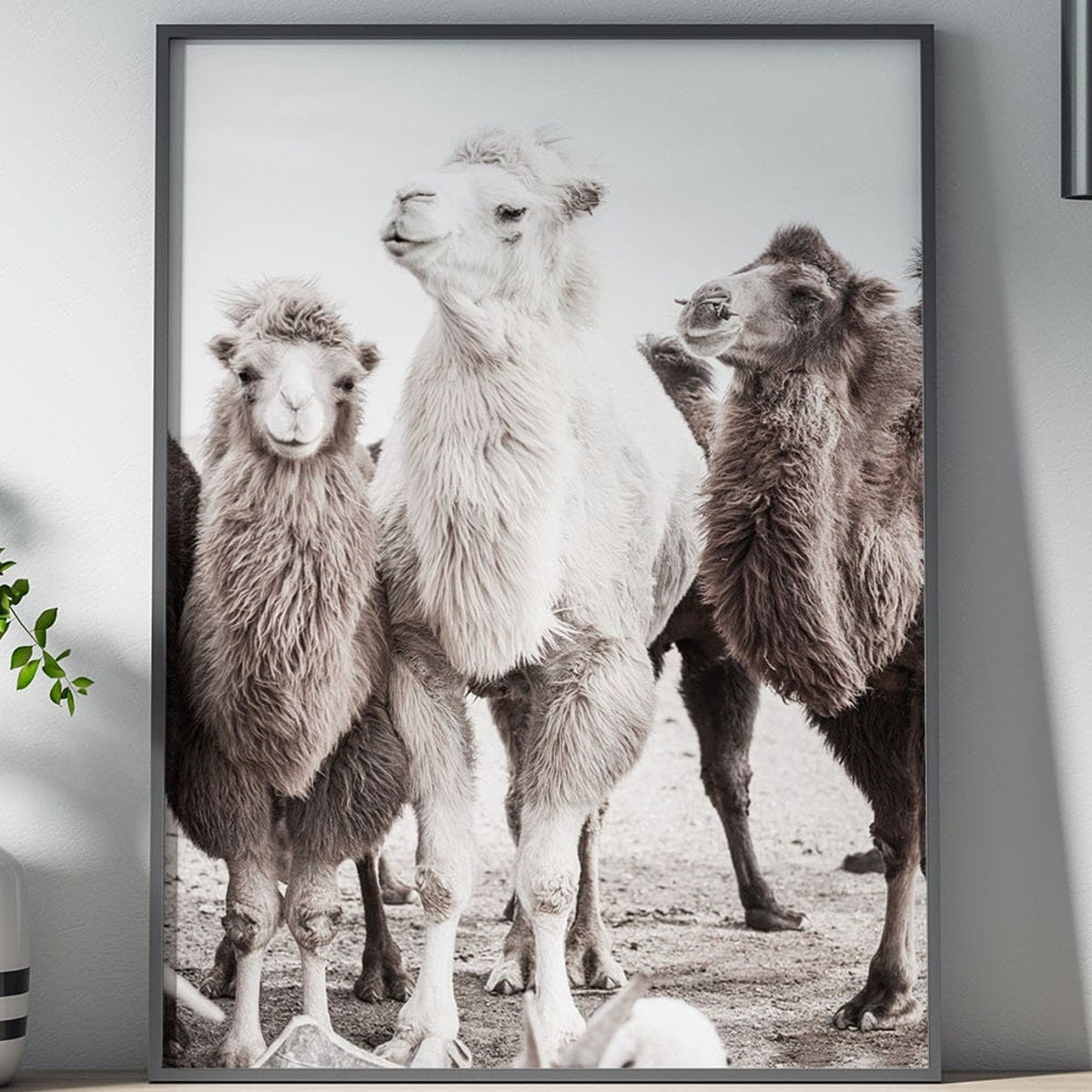Poster Camels Poster, Poster, Wall Art, Poster Print, Wall Decor ...