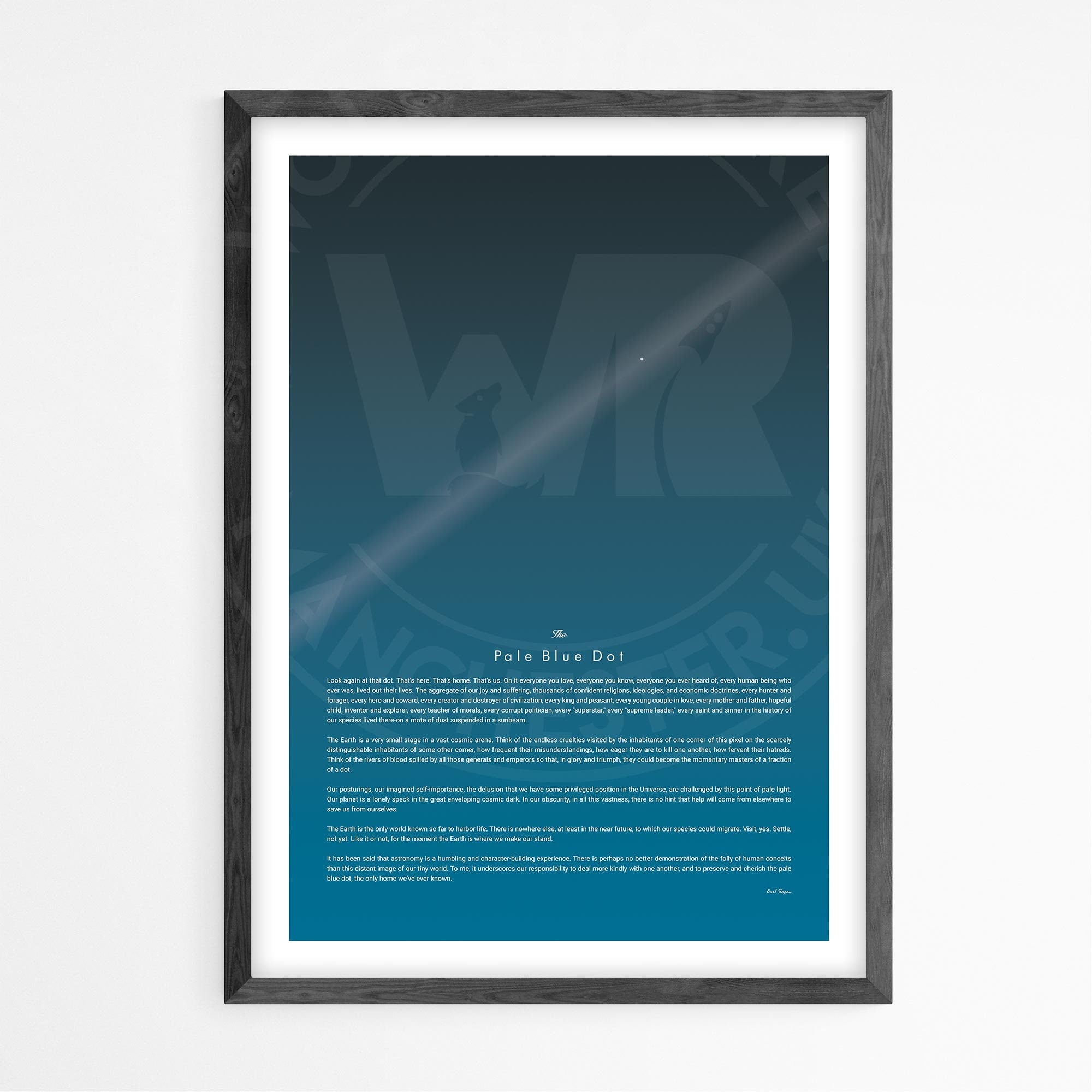 POSTER Carl Sagan The Pale Blue Dot Print Quote Poster Print, Full ...