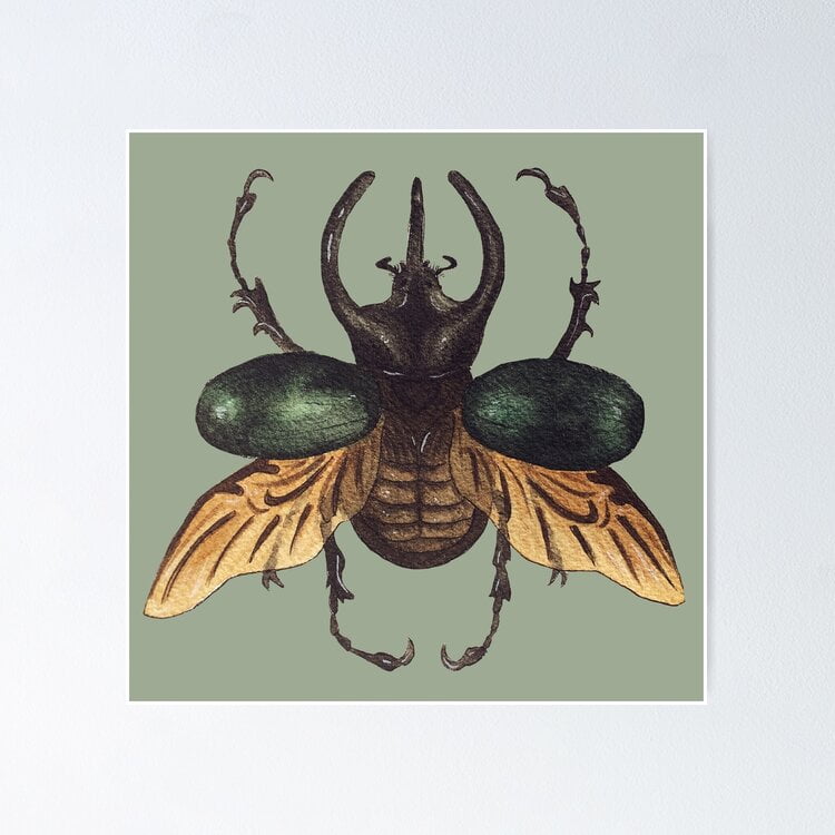Poster Chalcosoma Atlas Dynastid beetle watercolor - Unframed Poster ...