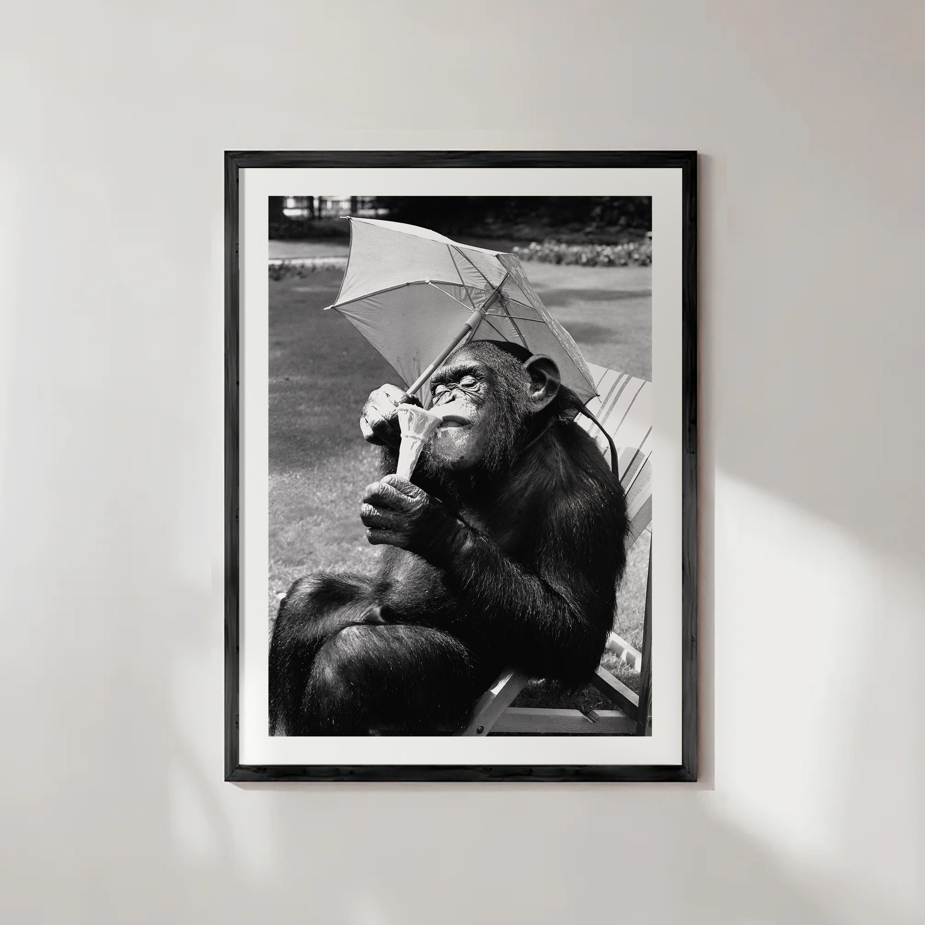 Poster Chimpanzee Eating Ice cream, Funny Wall Art, Monkey, Pet ...