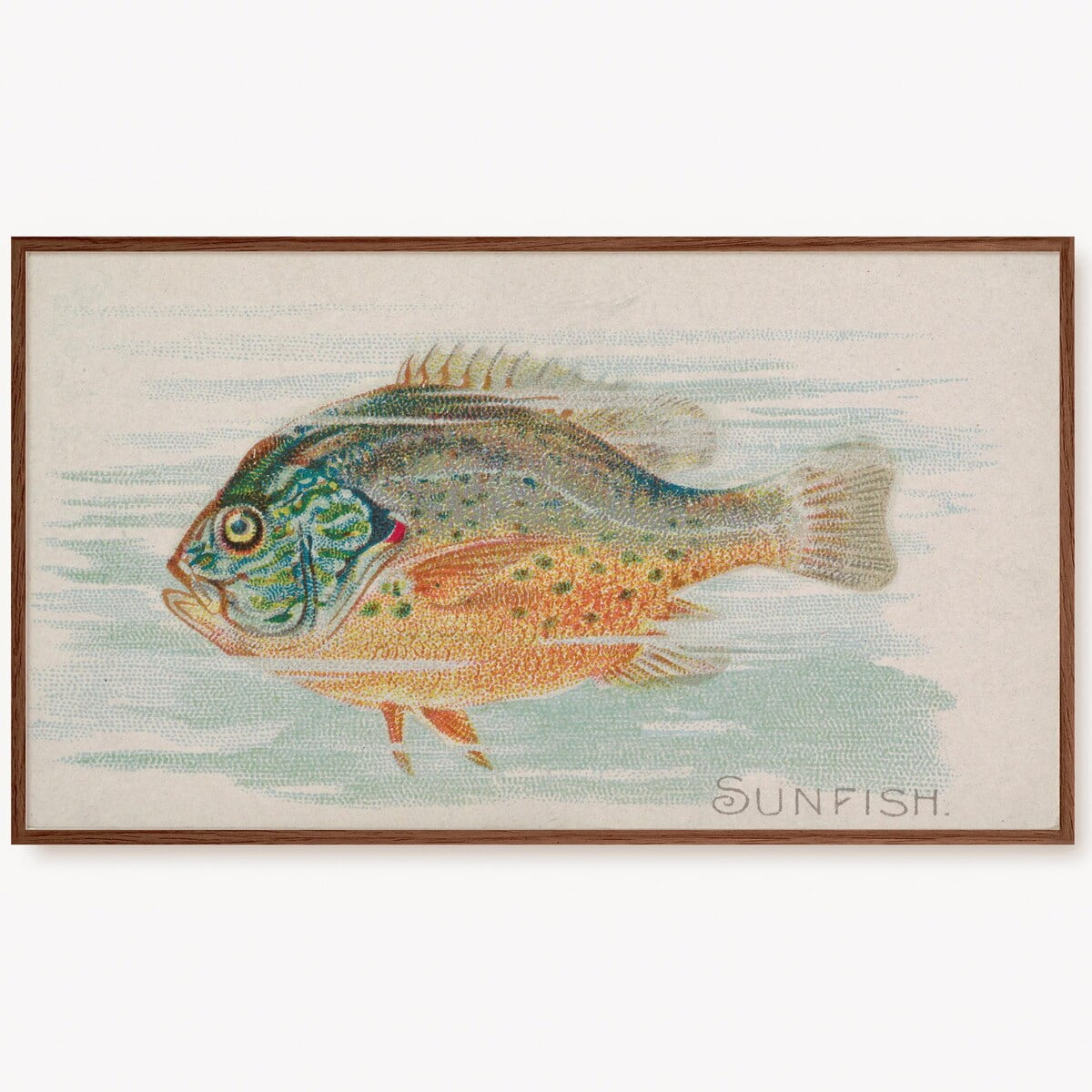 Poster Coastal Frame Tv Art Coastal Vintage Wall Art Sunfish Artwork ...