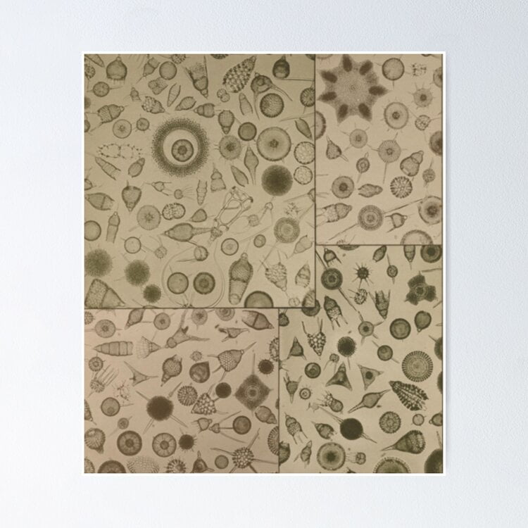 Poster Diatom Design - No Framed, Vintage Wall Art, Trendy Retro Print ...