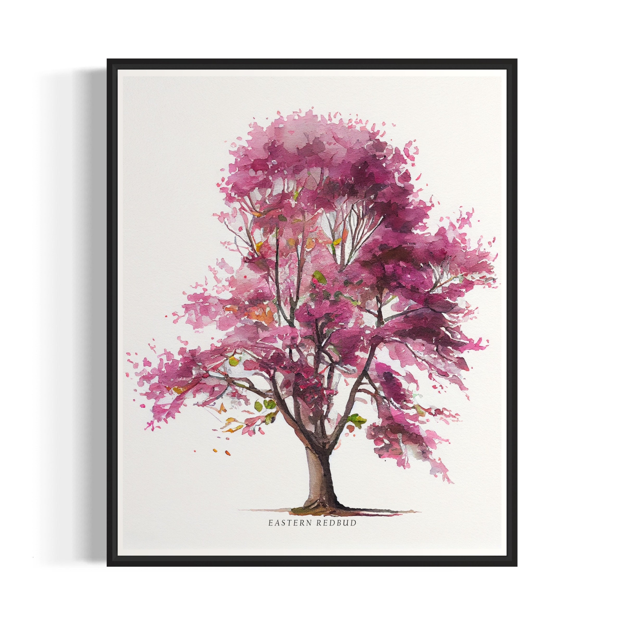 POSTER Eastern Redbud Tree Art Print, Eastern Redbud Tree Wall Art ...