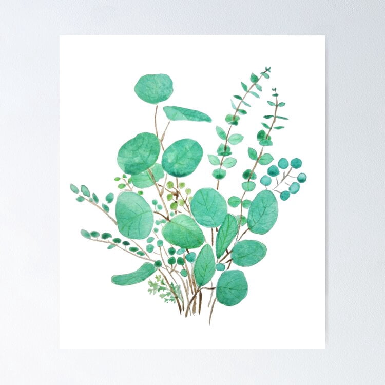 Poster Eucalyptus Leaf Arrangement 2020 Poster No Framed, 12x18 ...