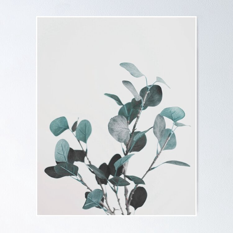 Poster Eucalyptus, Plant, Leaf, Modern Art, Poster, Print, Minimalistic ...