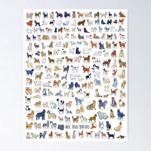 Poster Every Akc Dog Breed Poster No Framed, 12x18 - Walmart.com