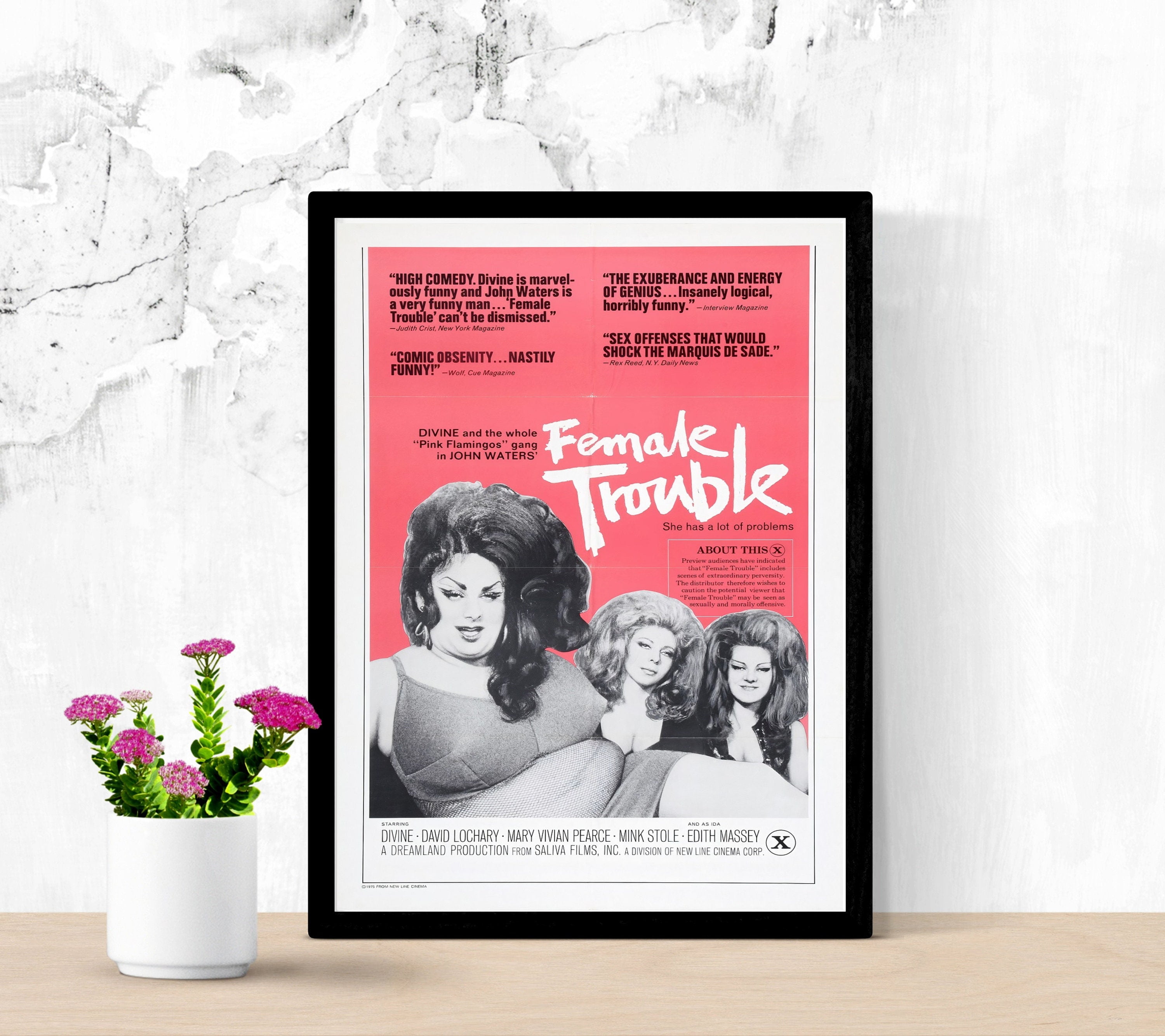 Poster Female Trouble Movie Poster 1974, Original Movie Poster , 4 ...