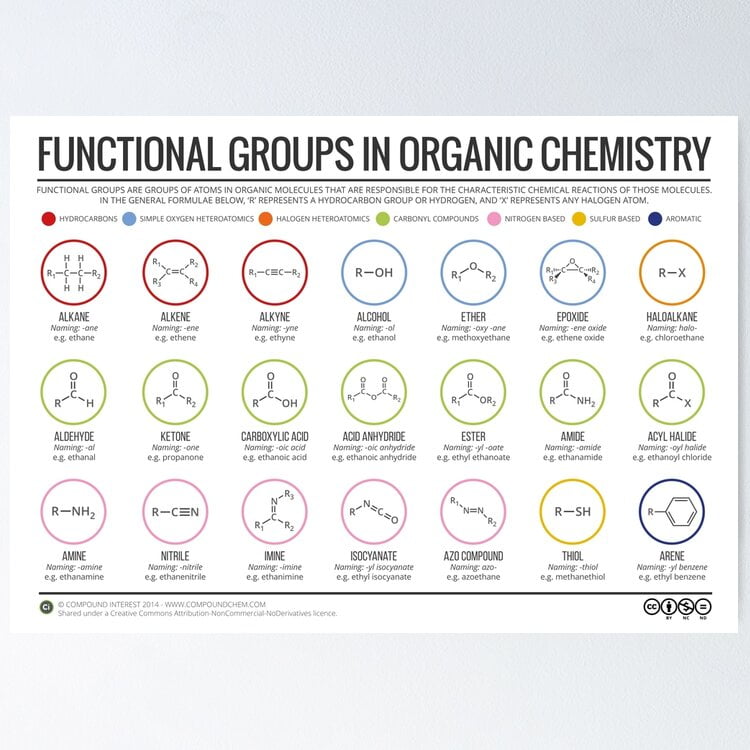 Poster Functional Groups In Organic Chemistry Poster No Framed, 24x36 ...