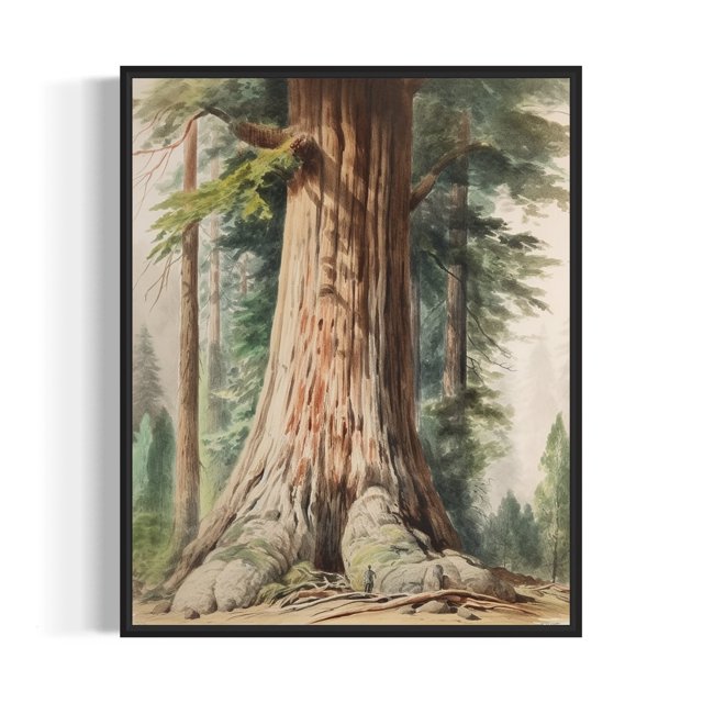 POSTER Giant Redwood Tree Art Print, Giant Redwood Tree Wall Art Poster ...