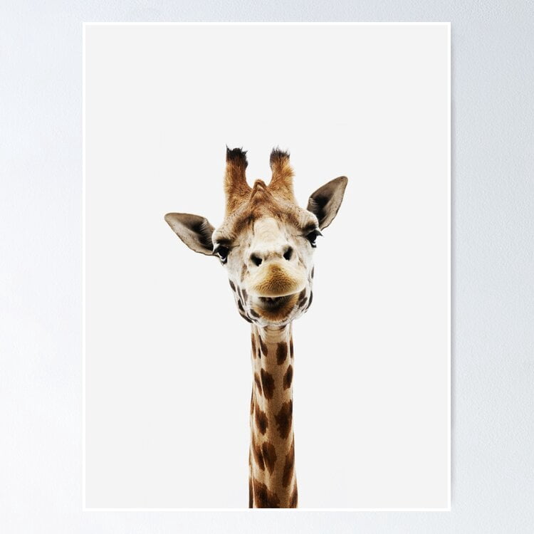 Poster Giraffe Print, Nursery Art, Giraffe Poster, Animal, Kids Room ...