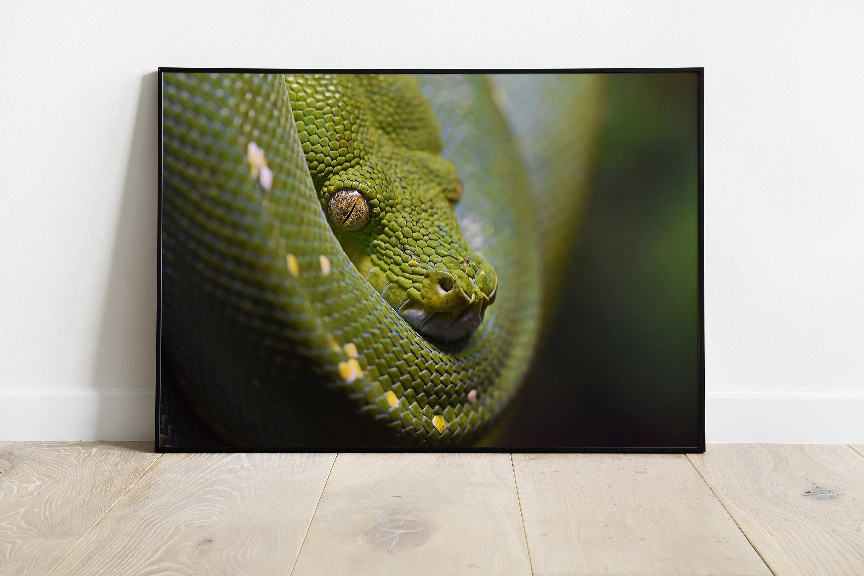 Poster Green Snake Poster Animals Reptiles Light Green Snake ...