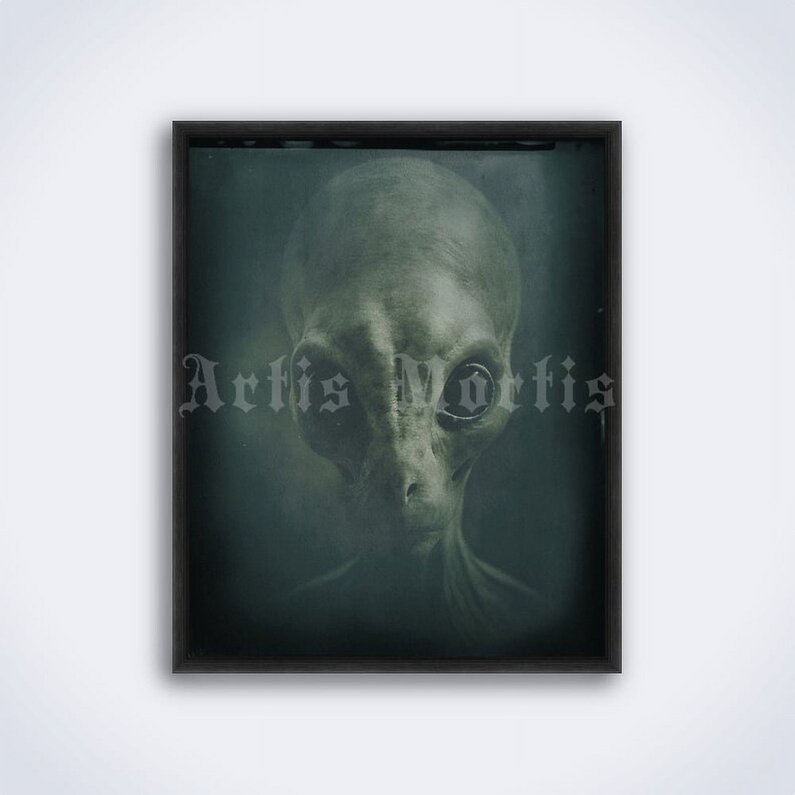 POSTER Green alien vintage photo, alien abduction, contact, ufology ...