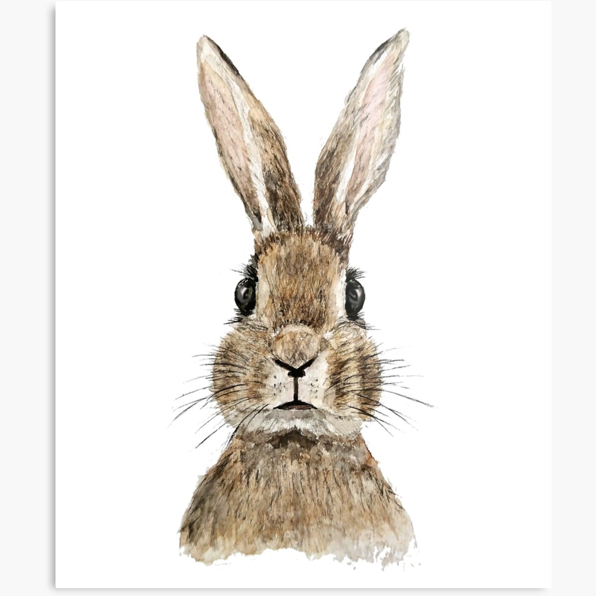 Poster Hand Painted Cute Innocent Rabbit Watercolor - No Framed ...