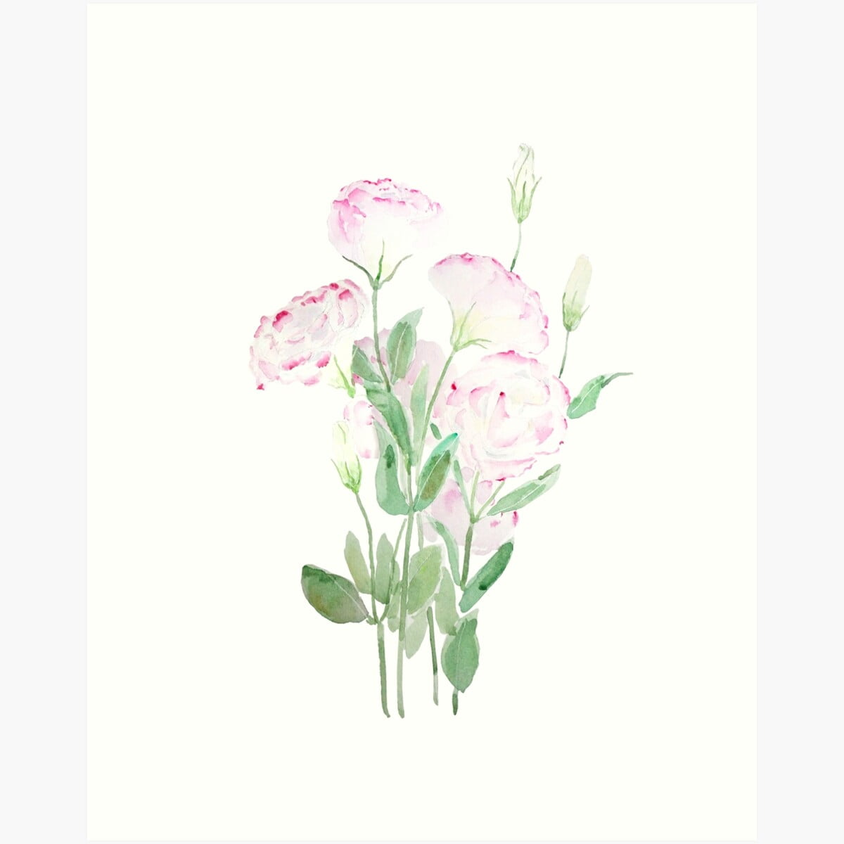 Poster Hand Painted Pink Eustoma Flowers Watercolor Painting 2021 - No ...