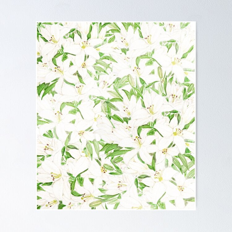 Poster Hand Painted White Lily Pattern - No Framed, Vintage Wall Art ...