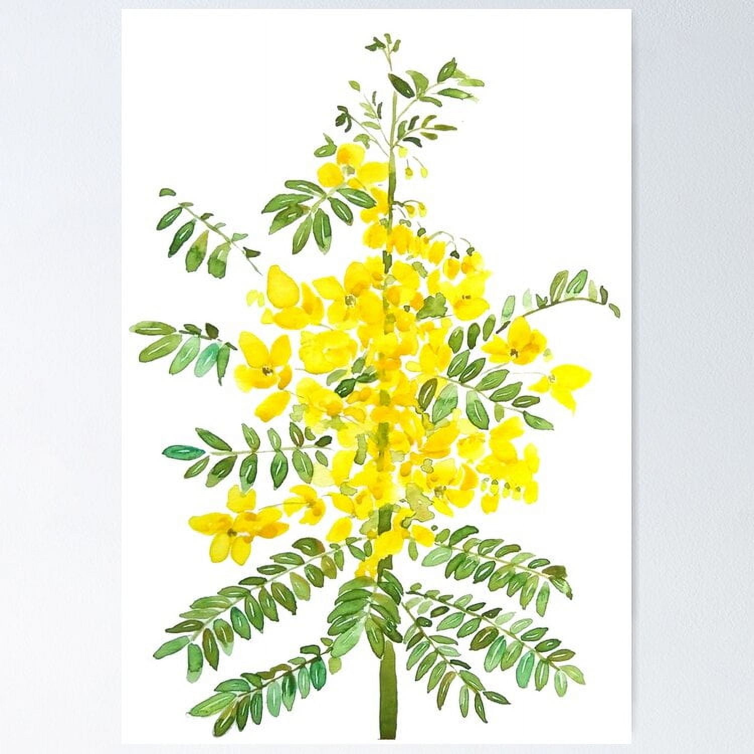 Poster Hand Painted Yellow Scrambled Egg Tree Flower - No Framed ...