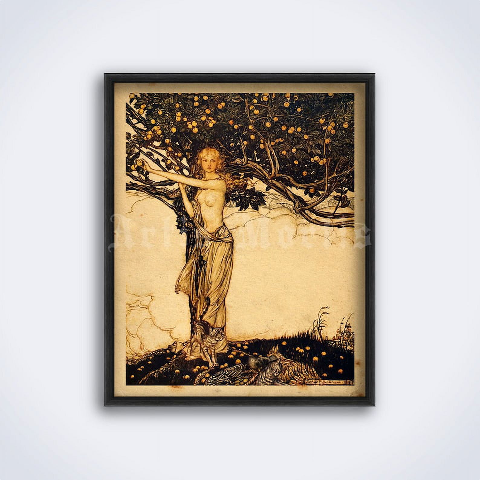 Poster Idun goddess of youth and apple tree - art by Arthur Rackham ...