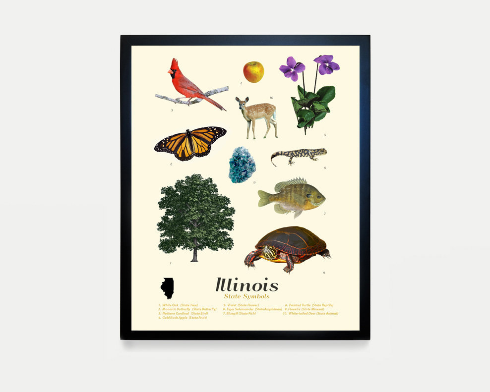 Poster Illinois State Symbols Typology - Illinois - Illinois Poster ...