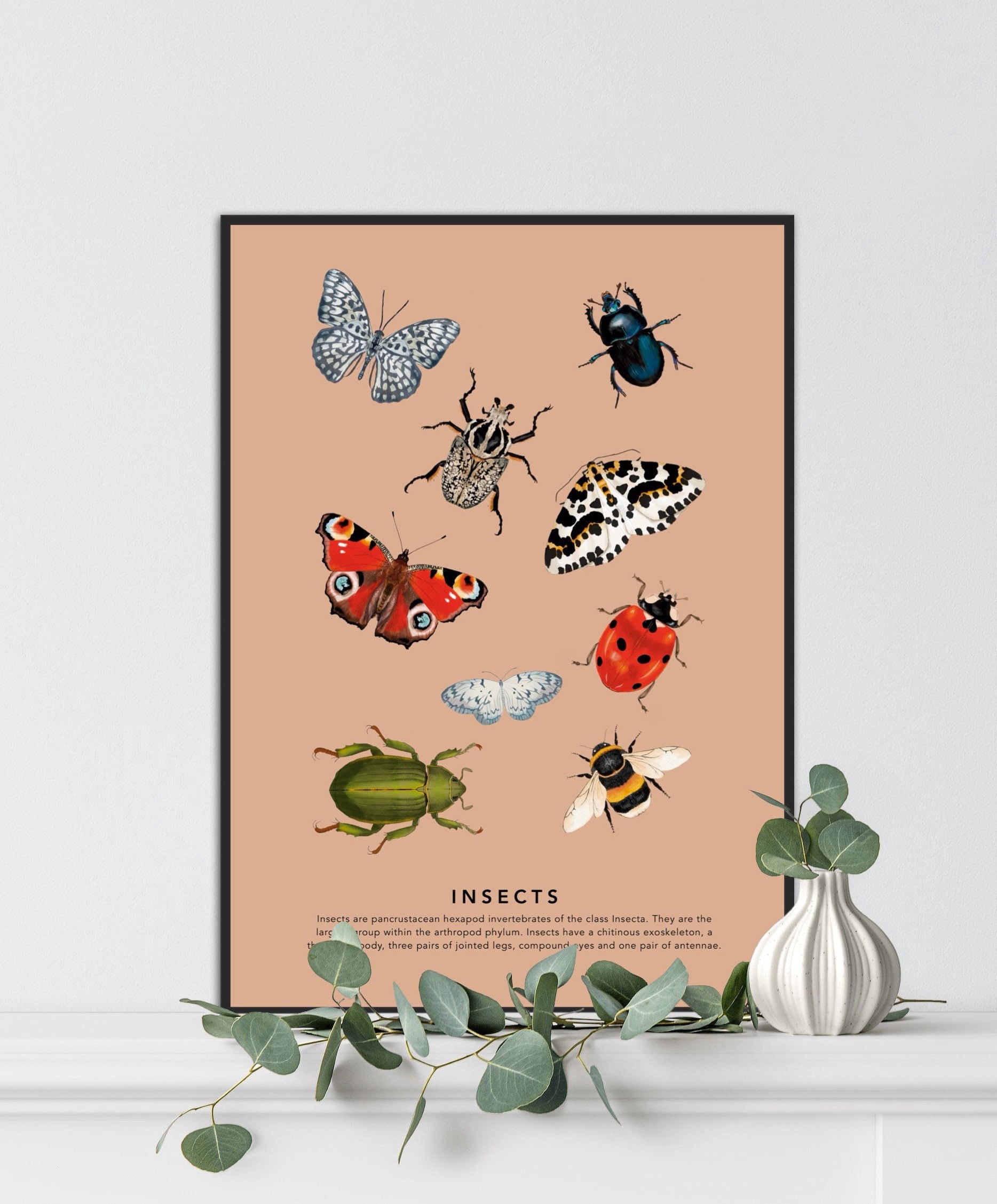 Poster Insects, Insect Art Print, Vintage Insect Print, Insect Gallery ...