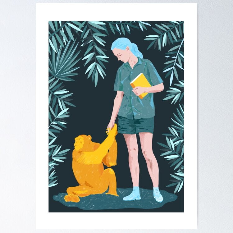Poster Jane And Fifi - Tribute Illustration Jane Goodall - No Framed ...