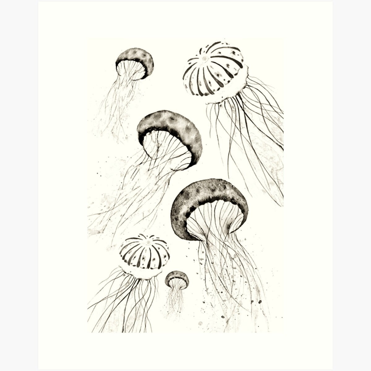 Poster Jelly Fish Black And White Poster No Framed, 12x18 - Walmart.com