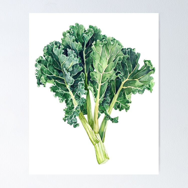 Poster Kale - Fruits and Vegetables Kitchen - Kitchen Art - Kitchen ...